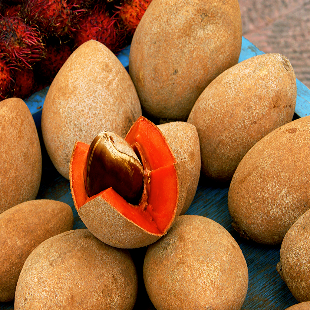 Descubre los beneficios del mamey | Liens Enlaces